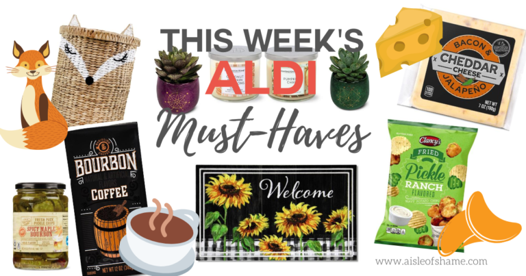 All the Aldi Fall Decor Coming in September - AisleofShame.com