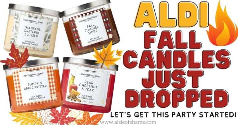 All the Aldi Fall Decor Coming in September - AisleofShame.com