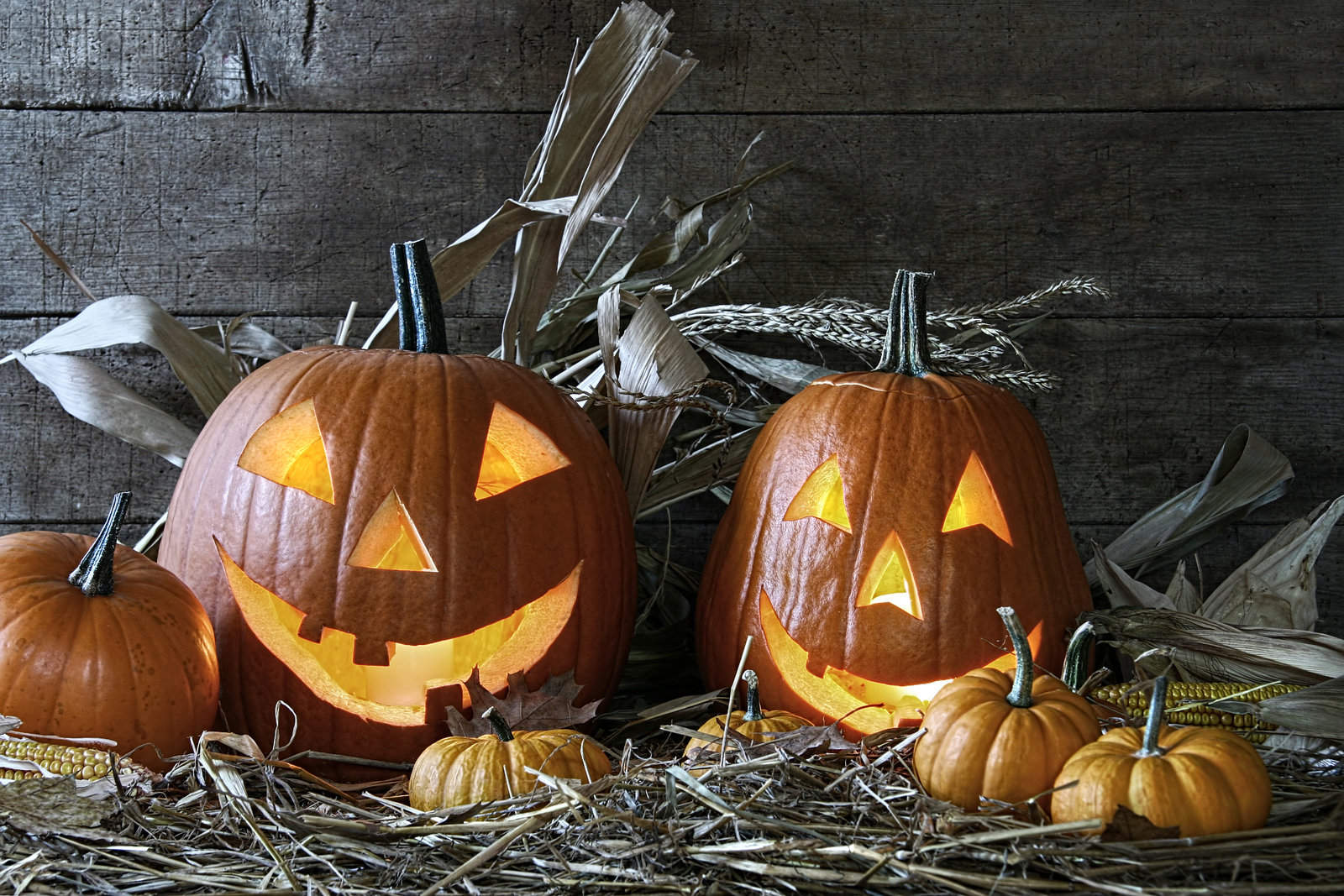 Dollar Tree’s Bewitching Halloween Collection 2023 – AisleofShame.com