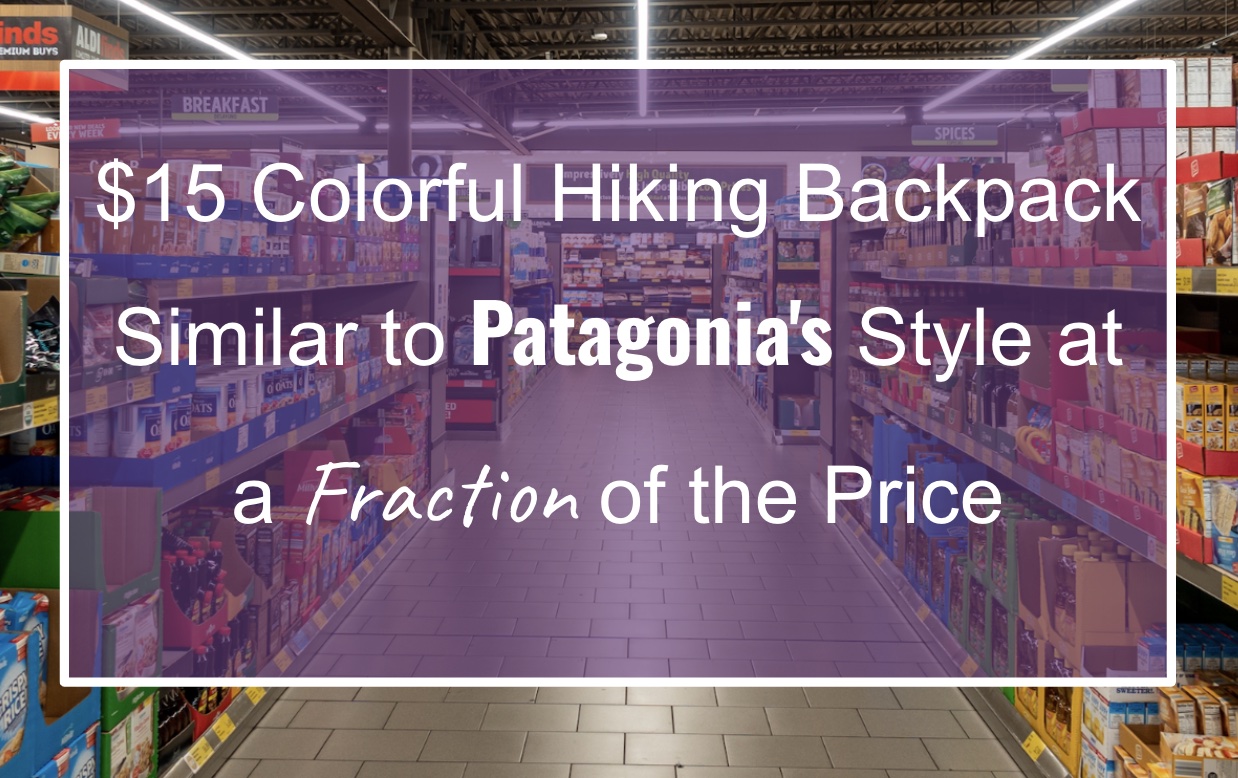 $15 Colorful Hiking Backpack Similar to Patagonia’s Style at a Fraction ...