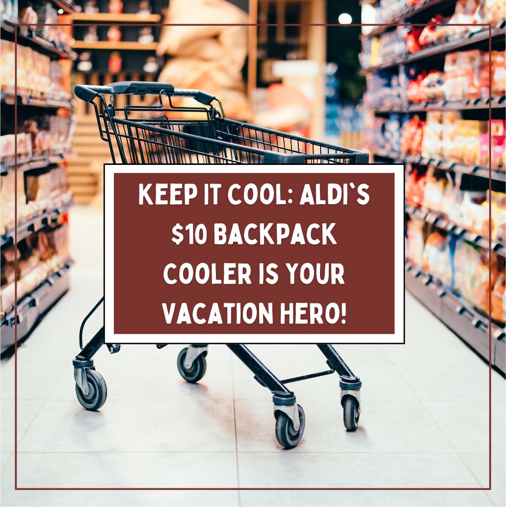 Keep It Cool: Aldi’s $10 Backpack Cooler is Your Vacation Hero ...