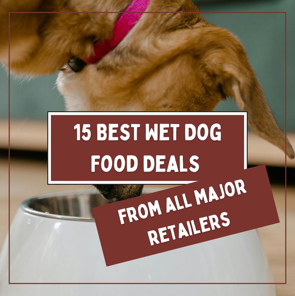 Today’s 15 Best Wet Dog Food Offers (Deals from All Major Retailers ...