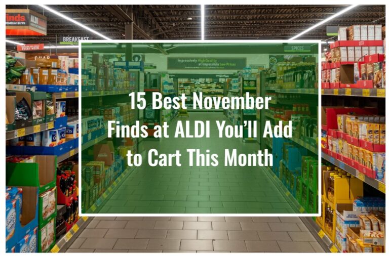 15 Best November Finds at ALDI to Add to Your Cart – AisleofShame.com