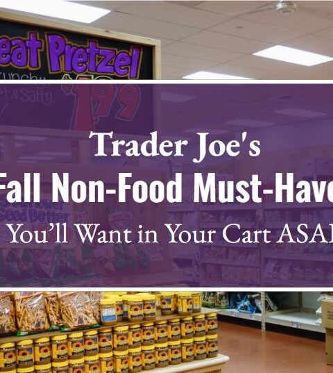 20 Must-Have Frozen Dinners from Trader Joe’s – AisleofShame.com